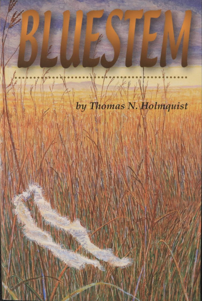 Bluestem – Lindsborg Old Mill & Swedish Heritage Museum