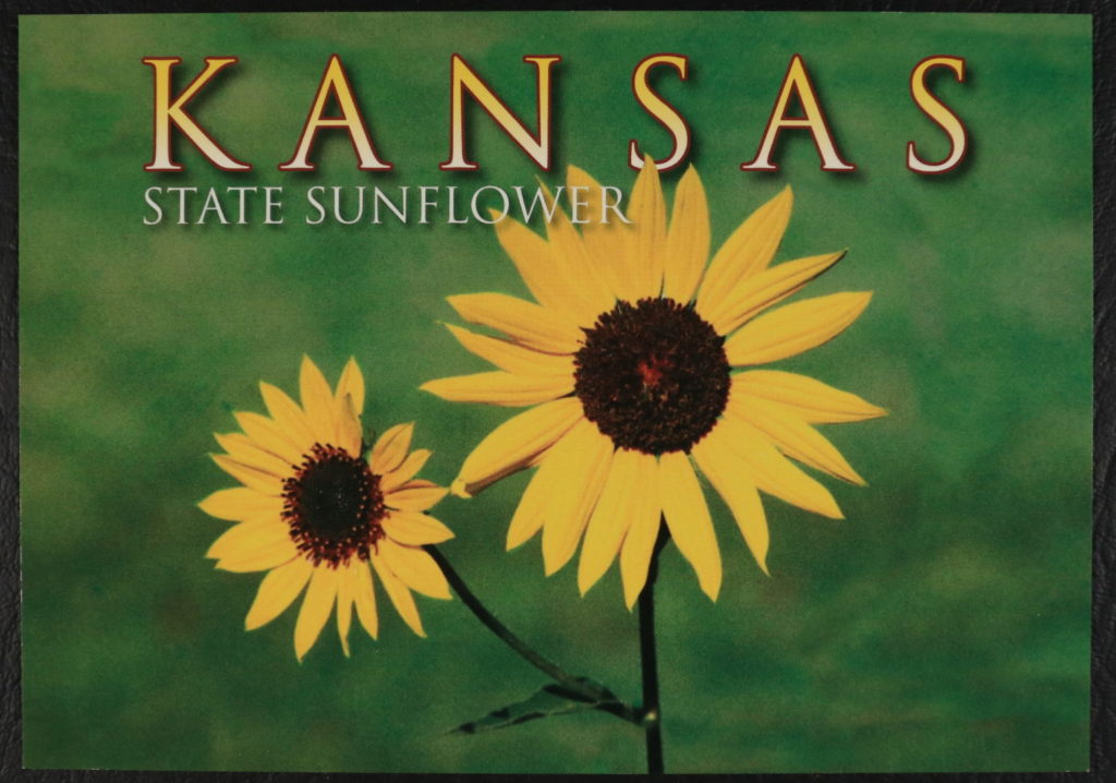 Iconic Kansas – 13-postcard collection – Lindsborg Old Mill & Swedish ...
